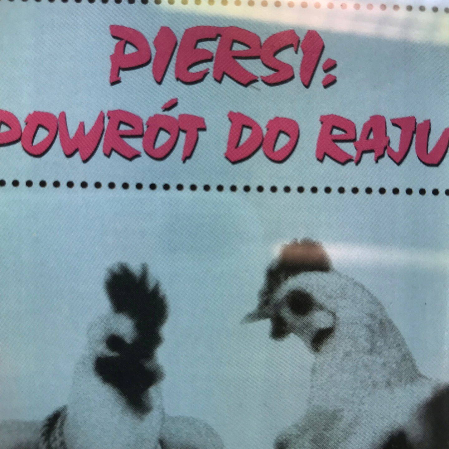 Piersi Powrót do Raju - Muzyka alternatywna - Allegro.pl