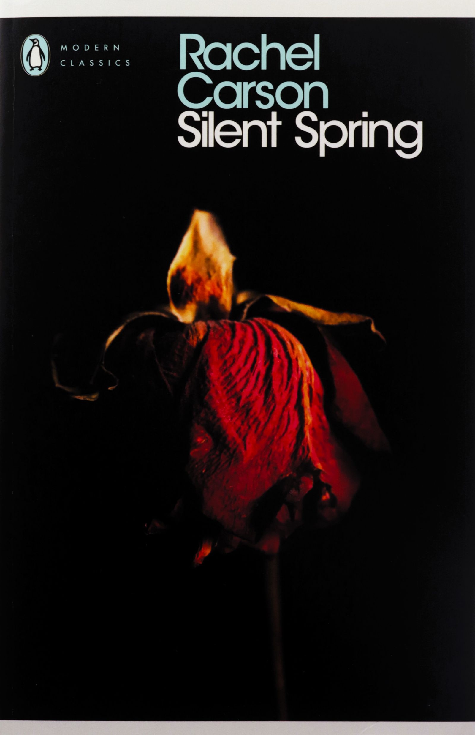 SILENT SPRING - Rachel Carson (KSIĄŻKA) (16799063419) | Książka Allegro