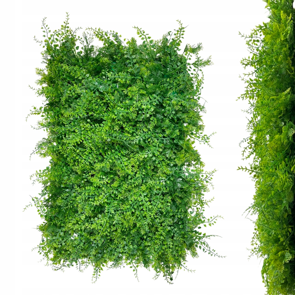 Żywotnik Szmaragdowy - Niska cena na Allegro