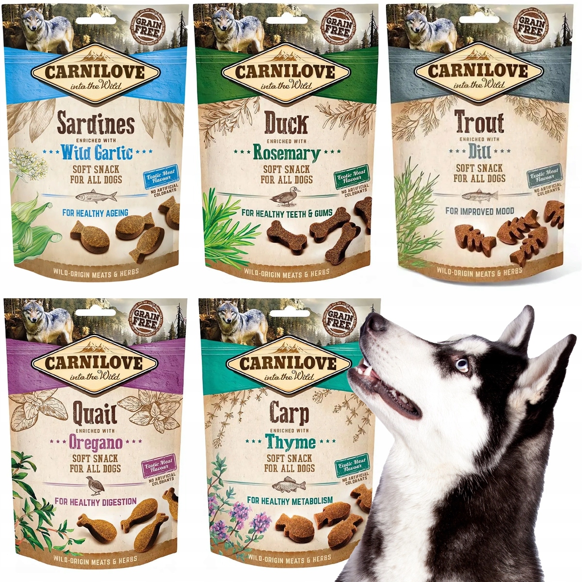 Carnilove MIĘKKIE WILGOTNE SMACZKI PSA 5x200 g MIX (5903857442182 ...