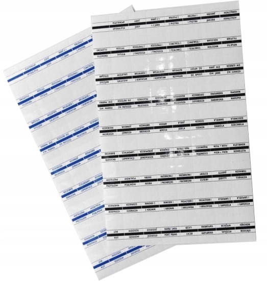 Paginatory DUŻE - 42114 (0042114000002) • Cena, Opinie • Obrazki ...