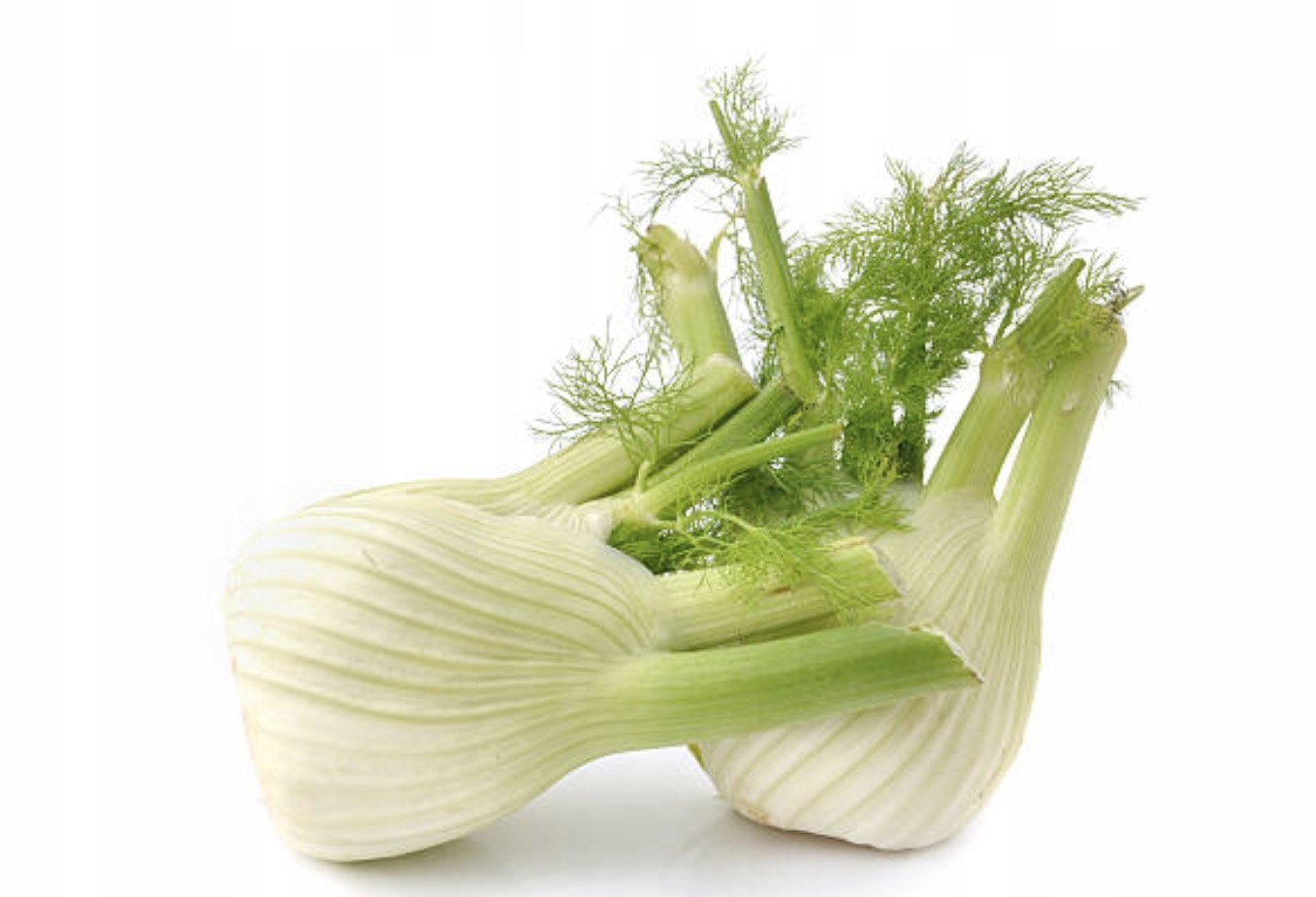 KOPER WŁOSKI FENKUŁ słodki w smaku NASIONA (Koper włoski) • Cena ...