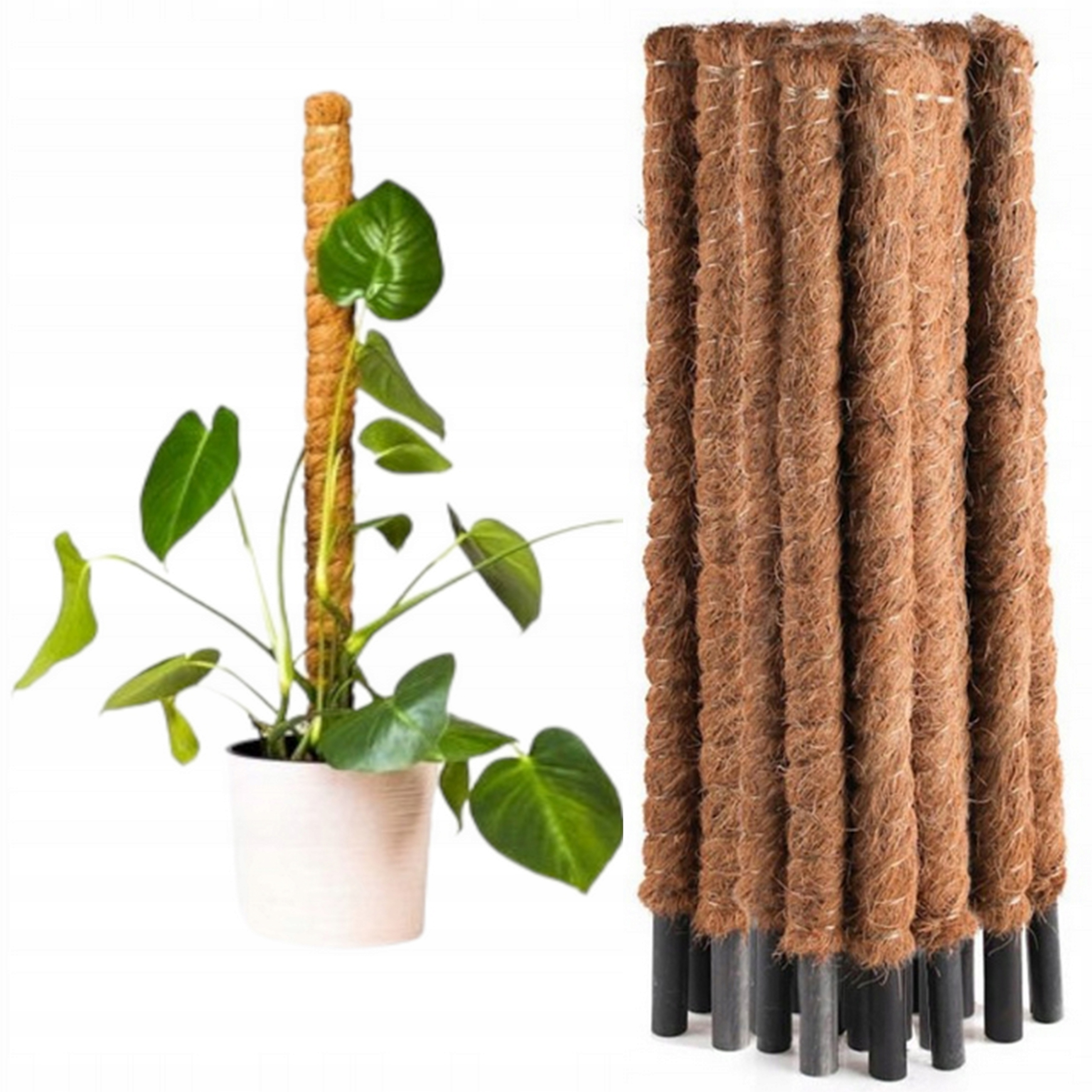 PALIK KOKOSOWY 100CM GRUBSZY PODPORA TYCZKA DO KWIATÓW ROŚLIN MONSTERA ...