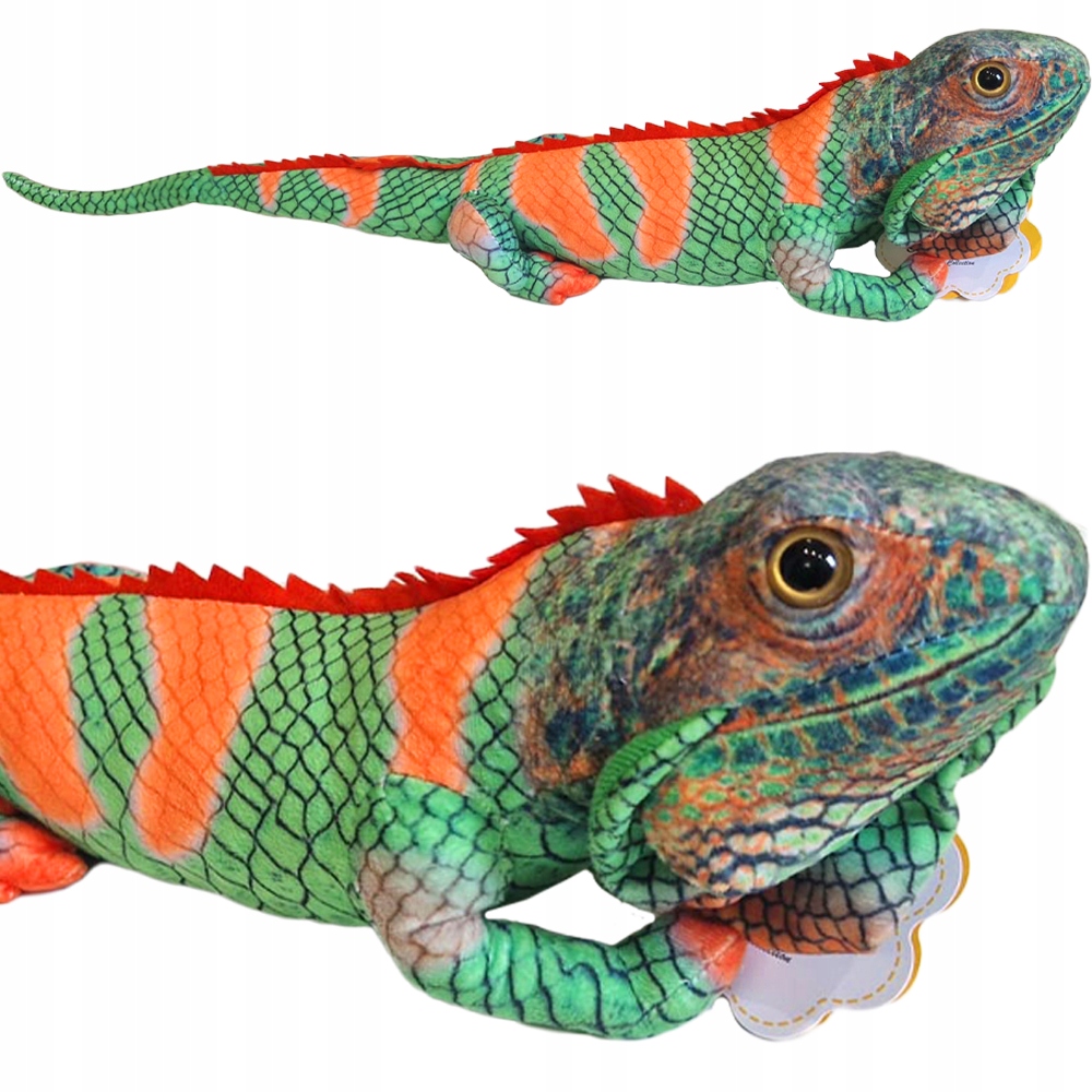 Legwan Zielony - Niska cena na Allegro