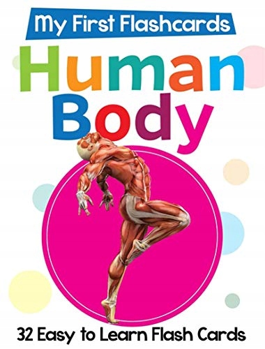 Human Body - Flash Cards Pegasus - porównaj ceny - Allegro.pl