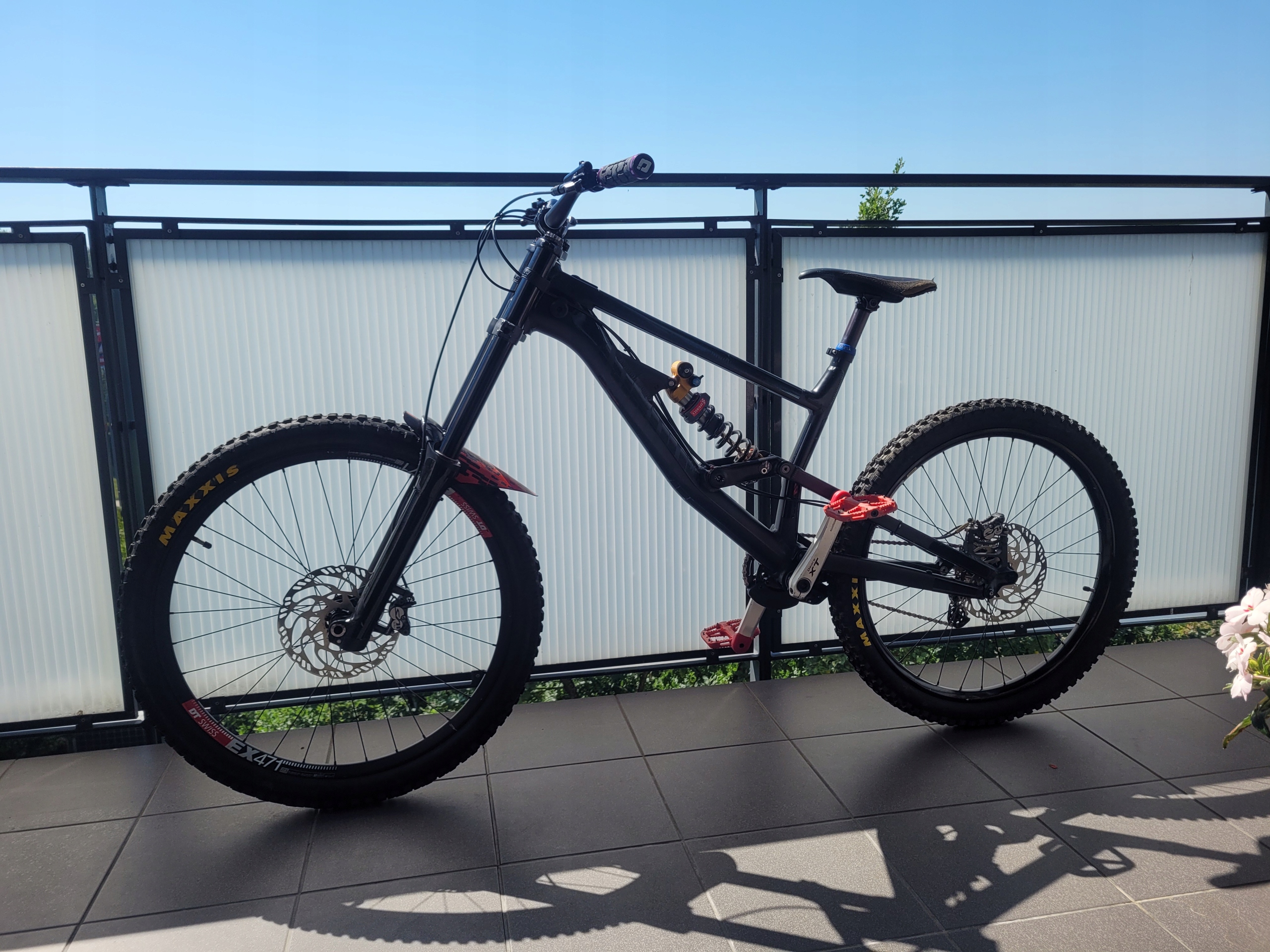 Canyon Torque - Niska cena na Allegro.pl