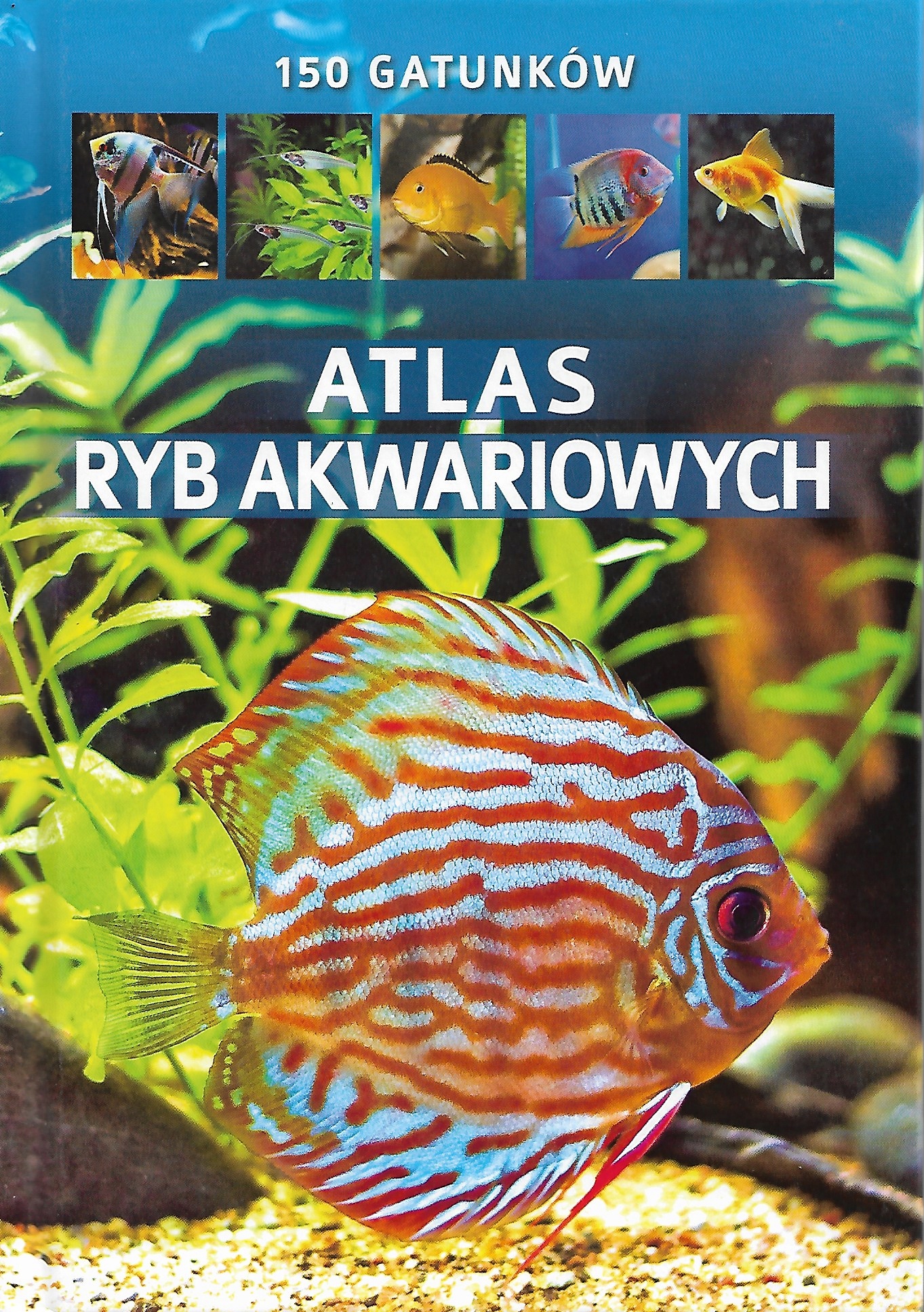 Atlas ryb akwariowych Maja Prusińska Książki dla dzieci (17155229953) | Allegro