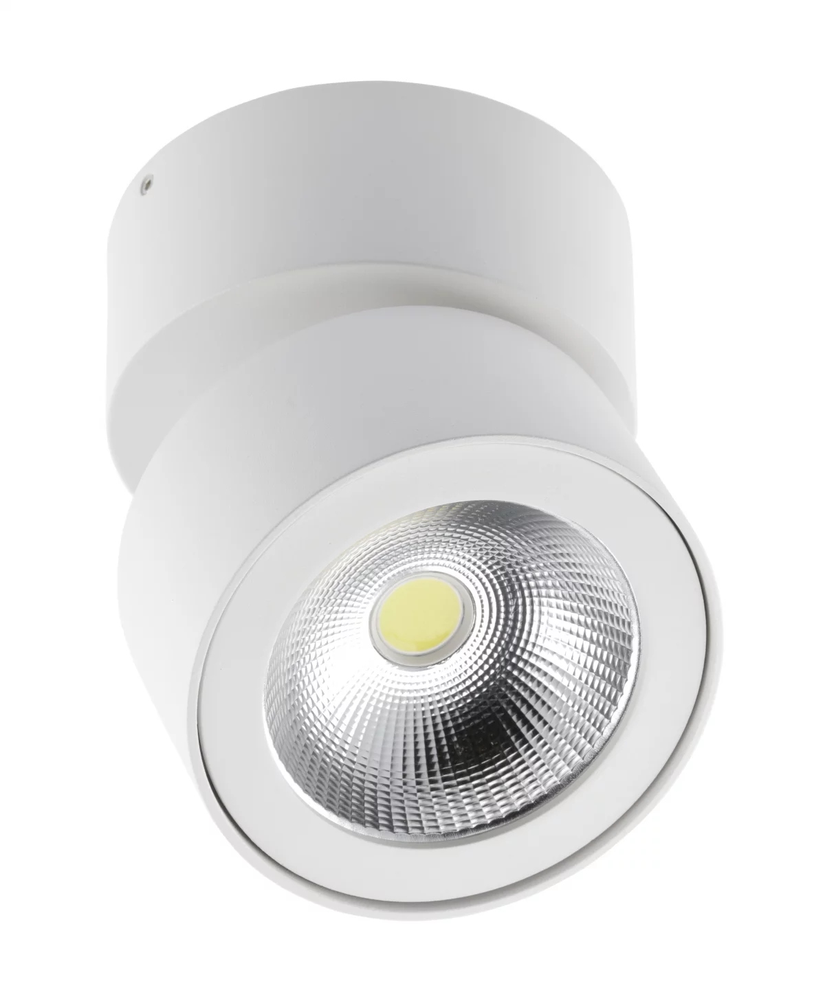 Oprawa oświetleniowa sufitowa natynkowa GTV 15 W zintegrowane źródło ...