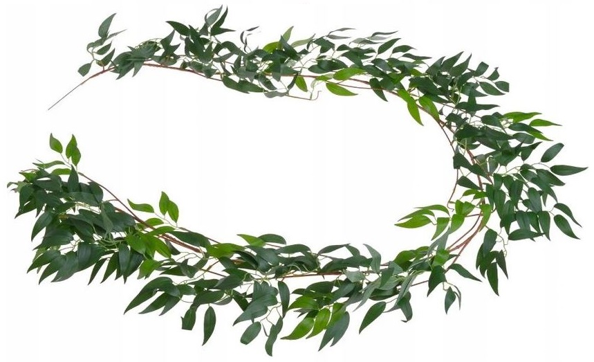 RUSCUS girlanda RUSKUS bluszcz liście sztuczne 170 13306808148 - Allegro.pl