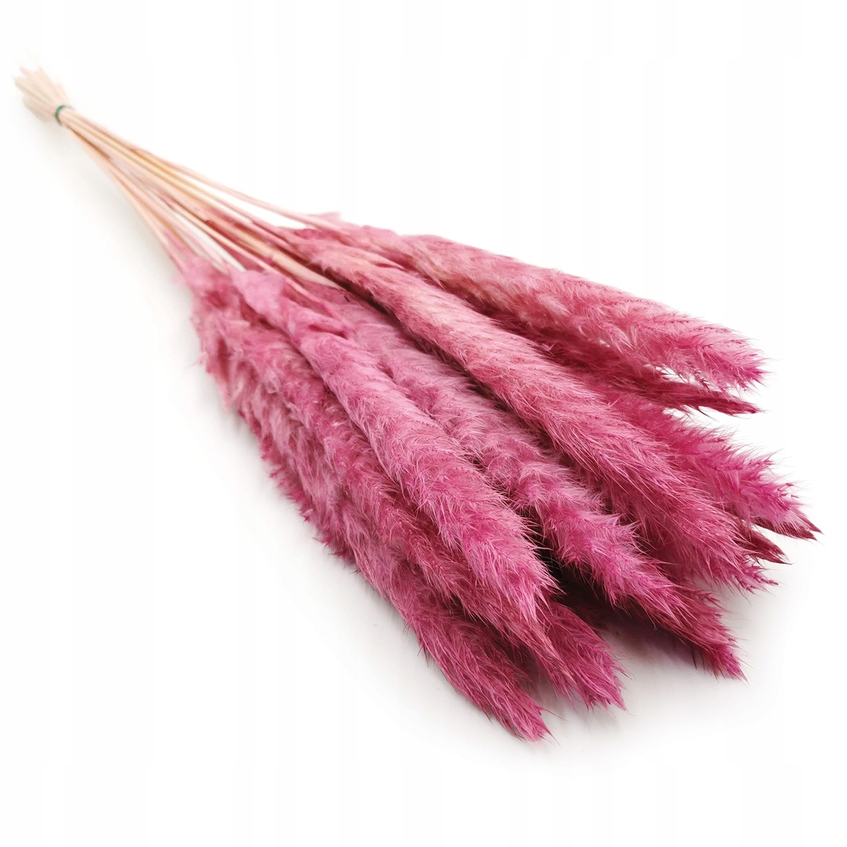 Mini Pampas - Niska cena na Allegro.pl