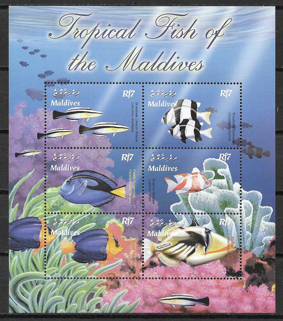 Malediwy - ryby, rafa koralowa • Cena, Opinie • Tematyczne 17093240308 ...