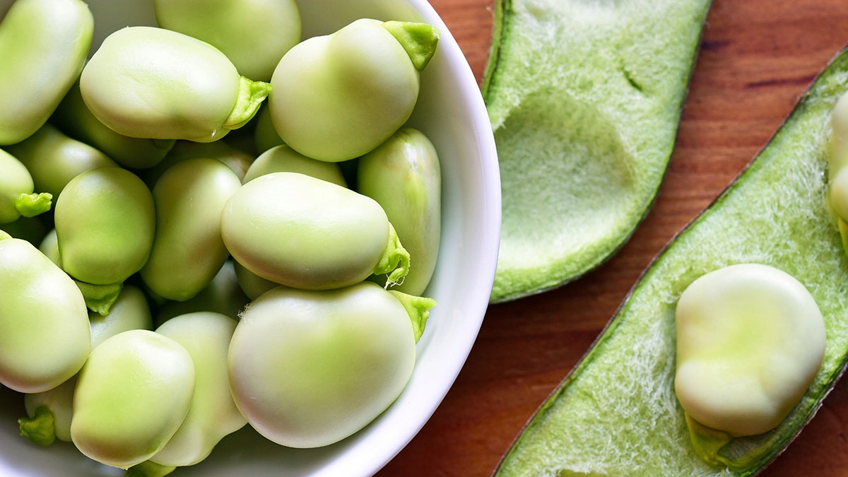 Groch i bób jankiel biały nasiona 50 g - porównaj ceny - Allegro.pl