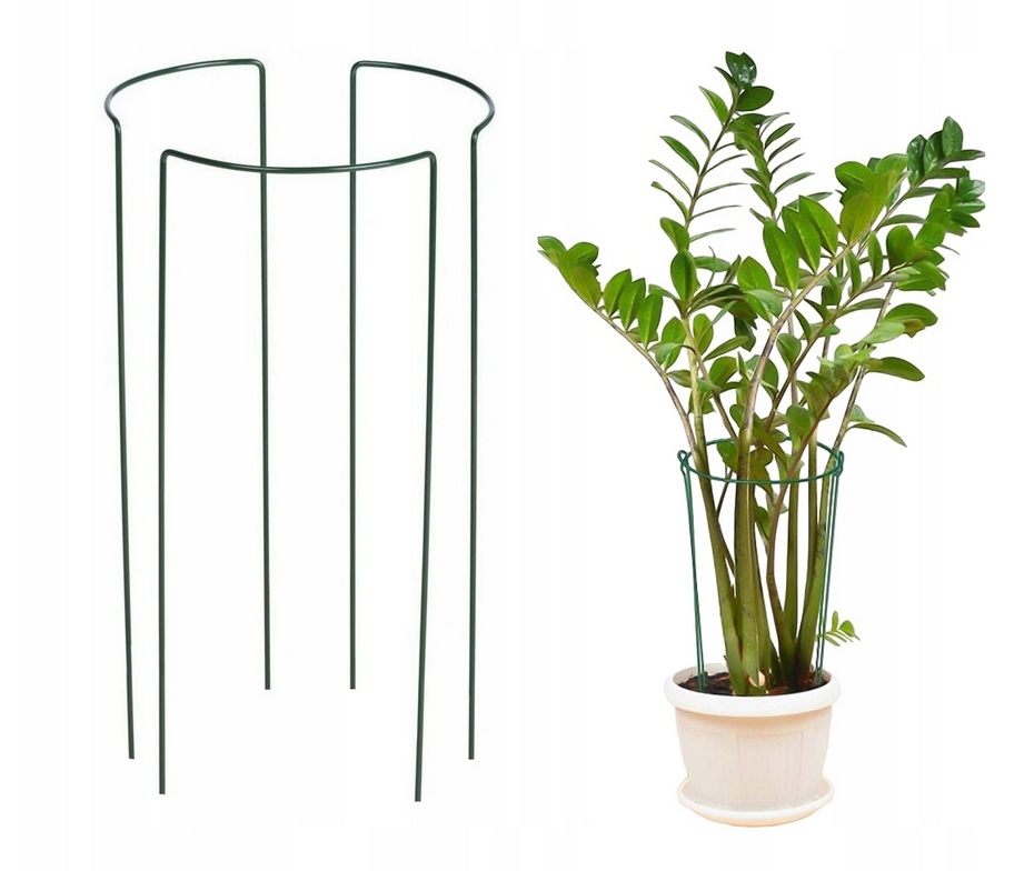 Podpórki do Kwiatów Doniczkowych - Niska cena na Allegro