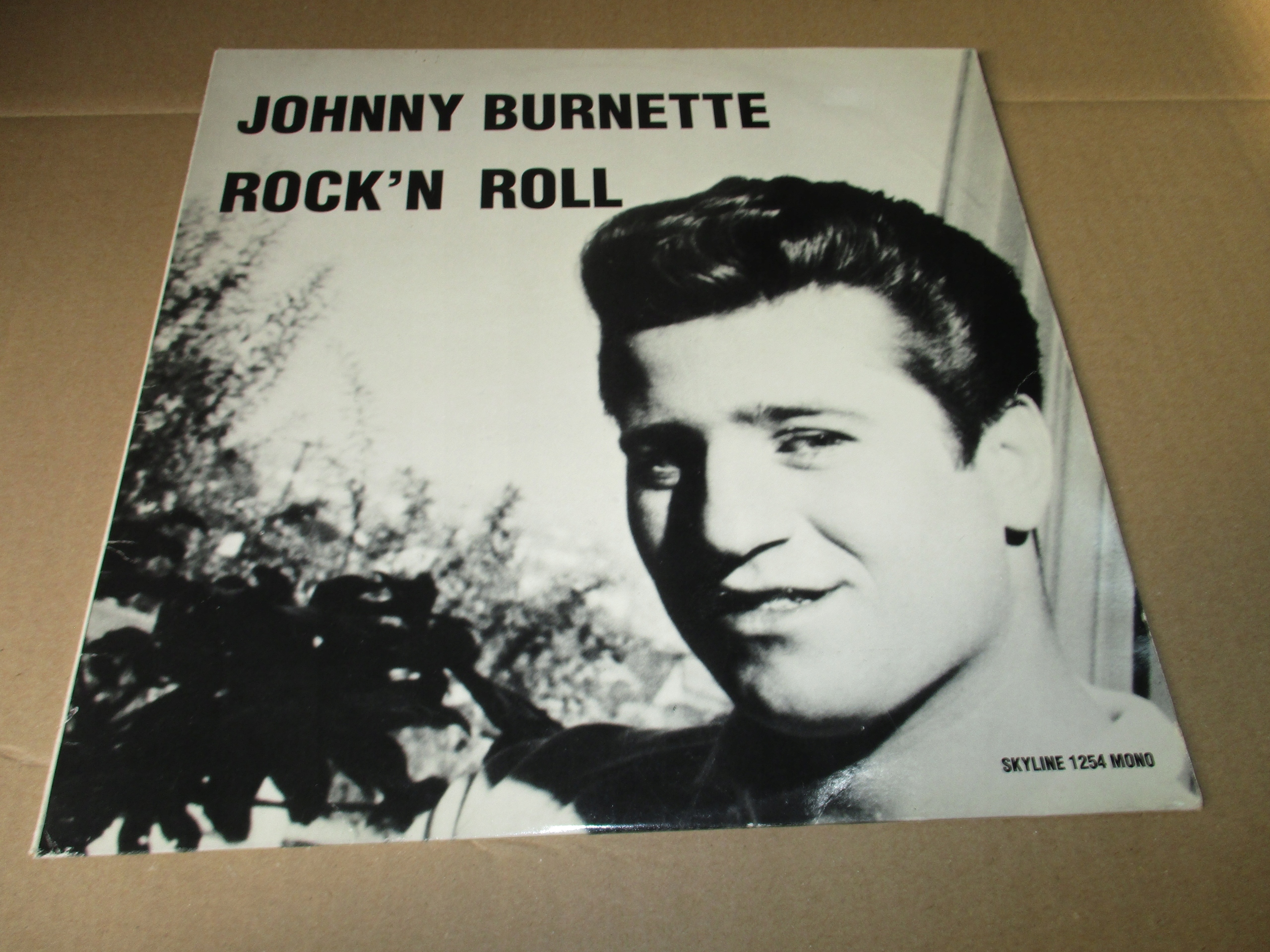 ROCK'N ROLL JOHNNY BURNETTE Winyl • Cena, Opinie - Allegro