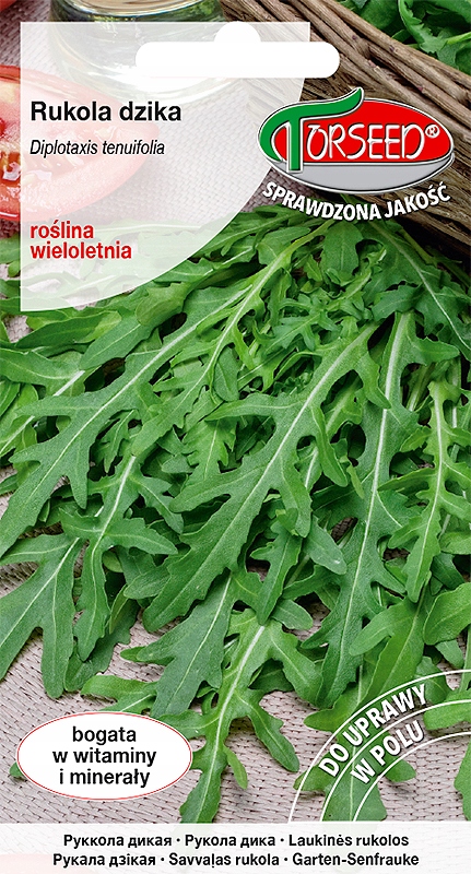 Rukola dzika wieloletnia 0,5g nasiona SUPER (5906262071206) • Cena ...