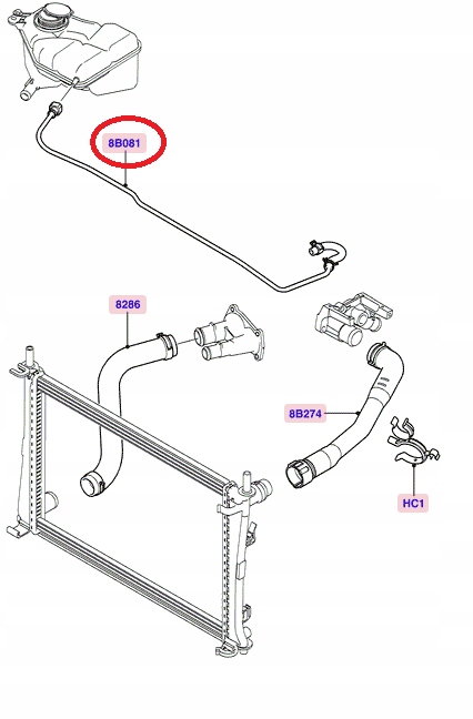02-2024 02-2024 - GATES ШЛАНГ РАДІАТОРА FORD 1546444 FIESTA FUSION ...