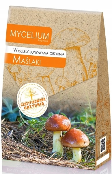 Micelij gljivice Mycelium maslac 120 ml - WWW.KAMENIK.HR