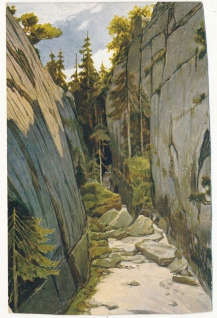 Liko Bulbapedia - Niska cena na Allegro