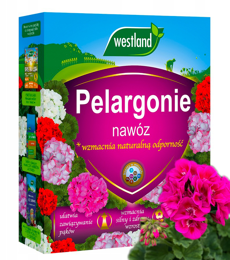 Nawóz wieloskładnikowy Westland granulat 1 kg 1 l • Cena, Opinie - Allegro