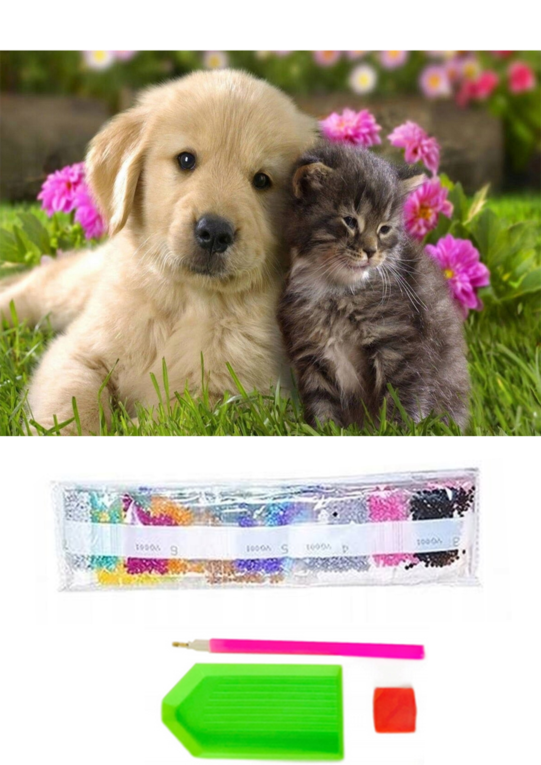 Mozaika diamentowa haft 5D PIESEK I KOTEK (5902444082756) • Cena ...