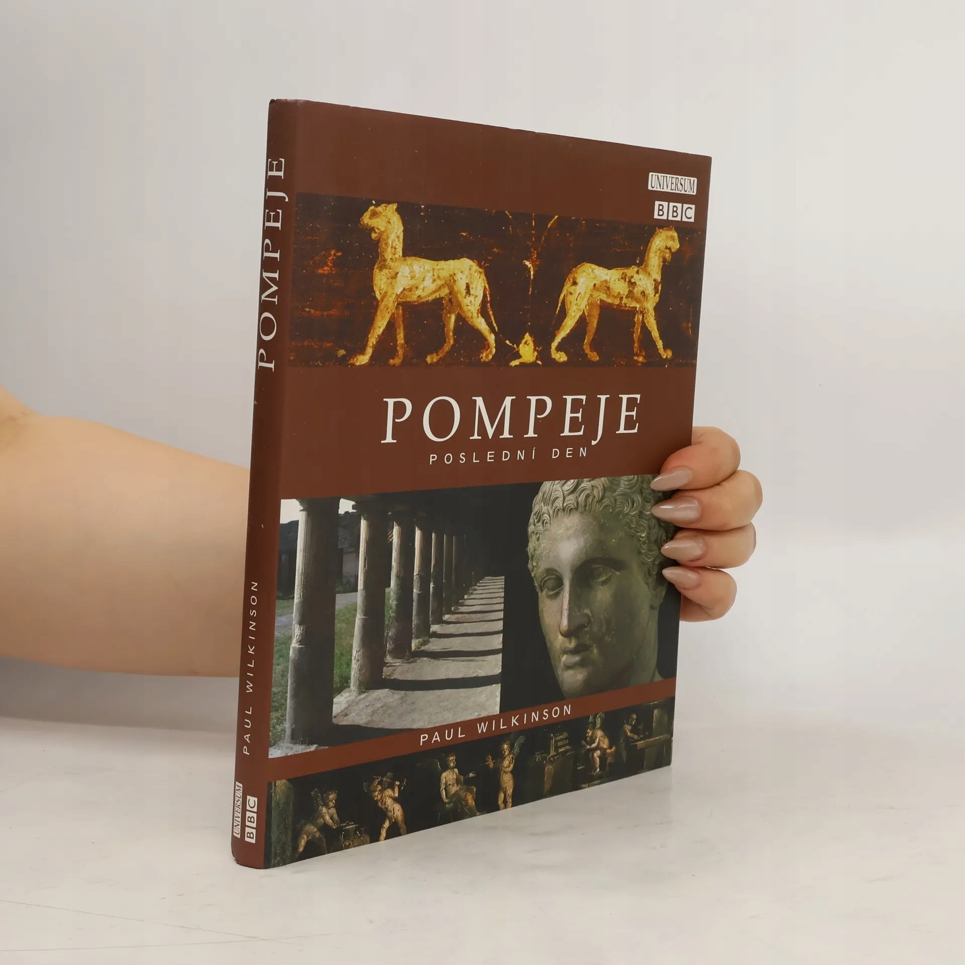 Pompeje: poslední den | Paul Wilkinson (17816778087) | Książka Allegro