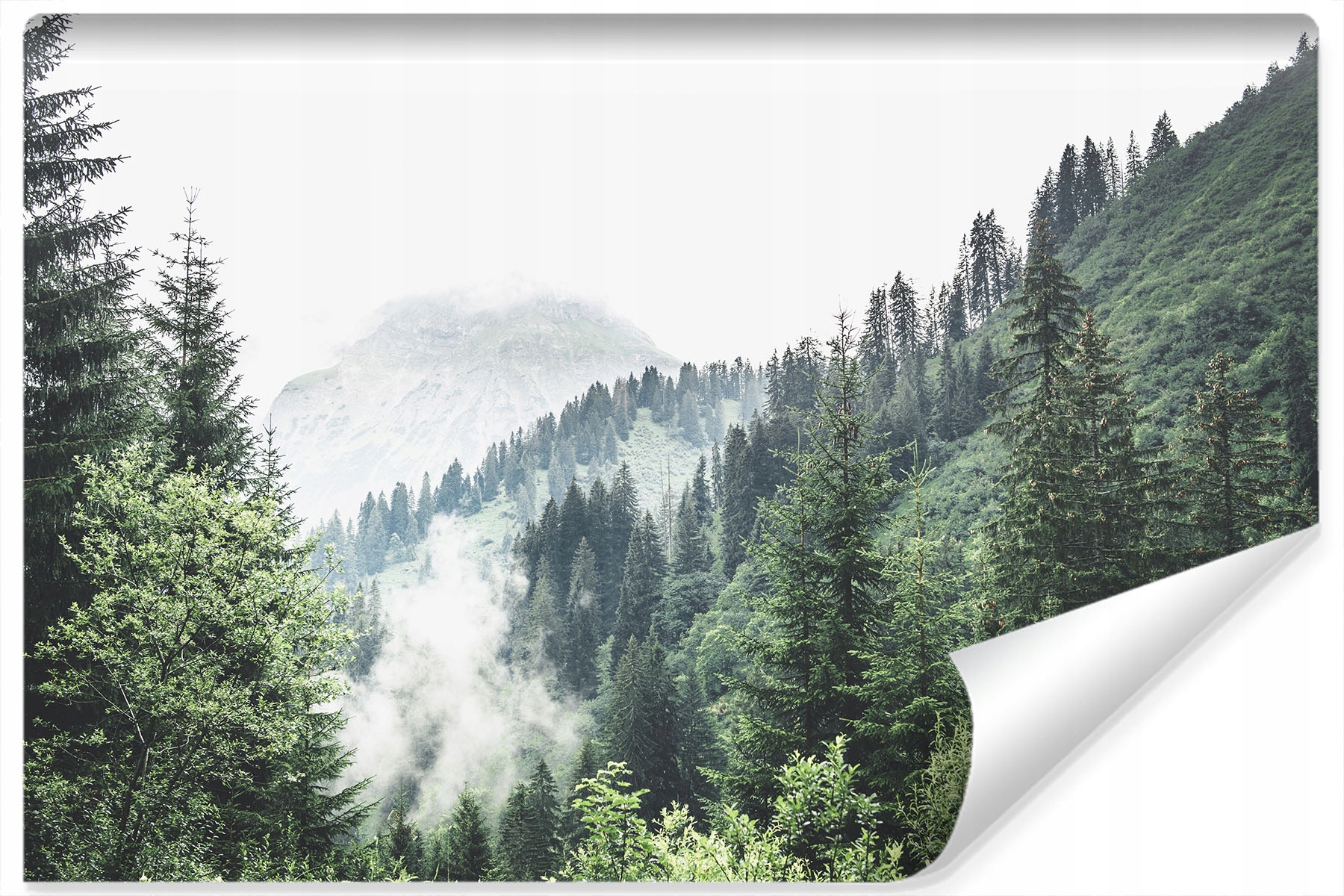 Fototapeta do Sypialni Góry LAS we Mgle 3D 400x280 (PF_4464_VE400-280 ...