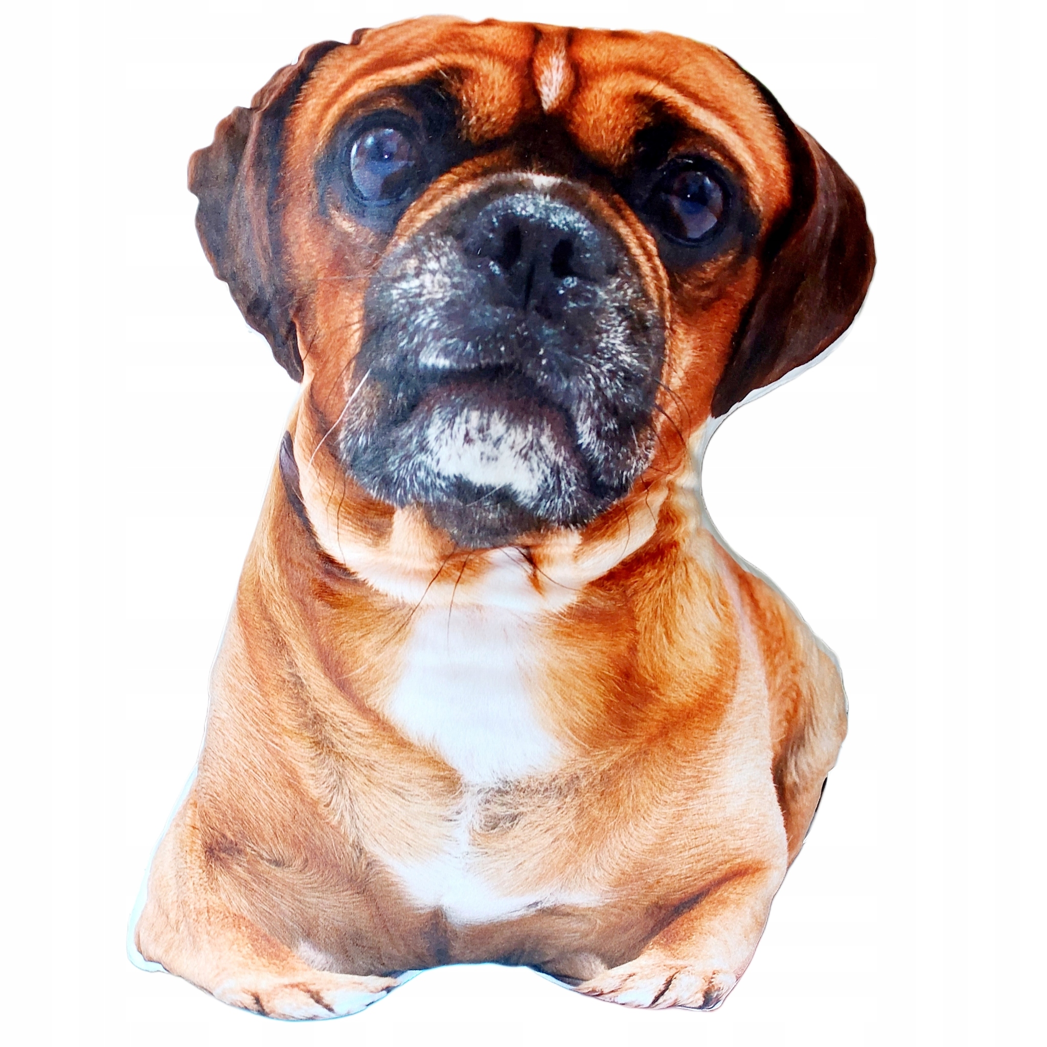 Vankúš 3D Foto s Vaším Pupilom Pes Mačka Foto - Allegro