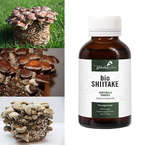 SHIITAKE Dvojitý Esktrakt BIO Lentinula Edodes 100 ml za 81.70EUR - Allegro