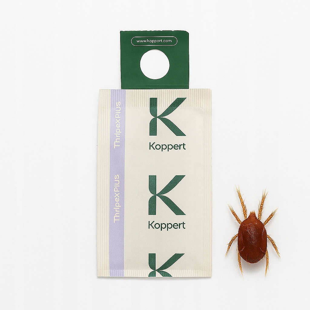 THRIPEX PLUS - Dobroczynek wielożerny | ZWALCZA PRZĘDZIORKI I WCIORNIASTKI • Opinie - Allegro