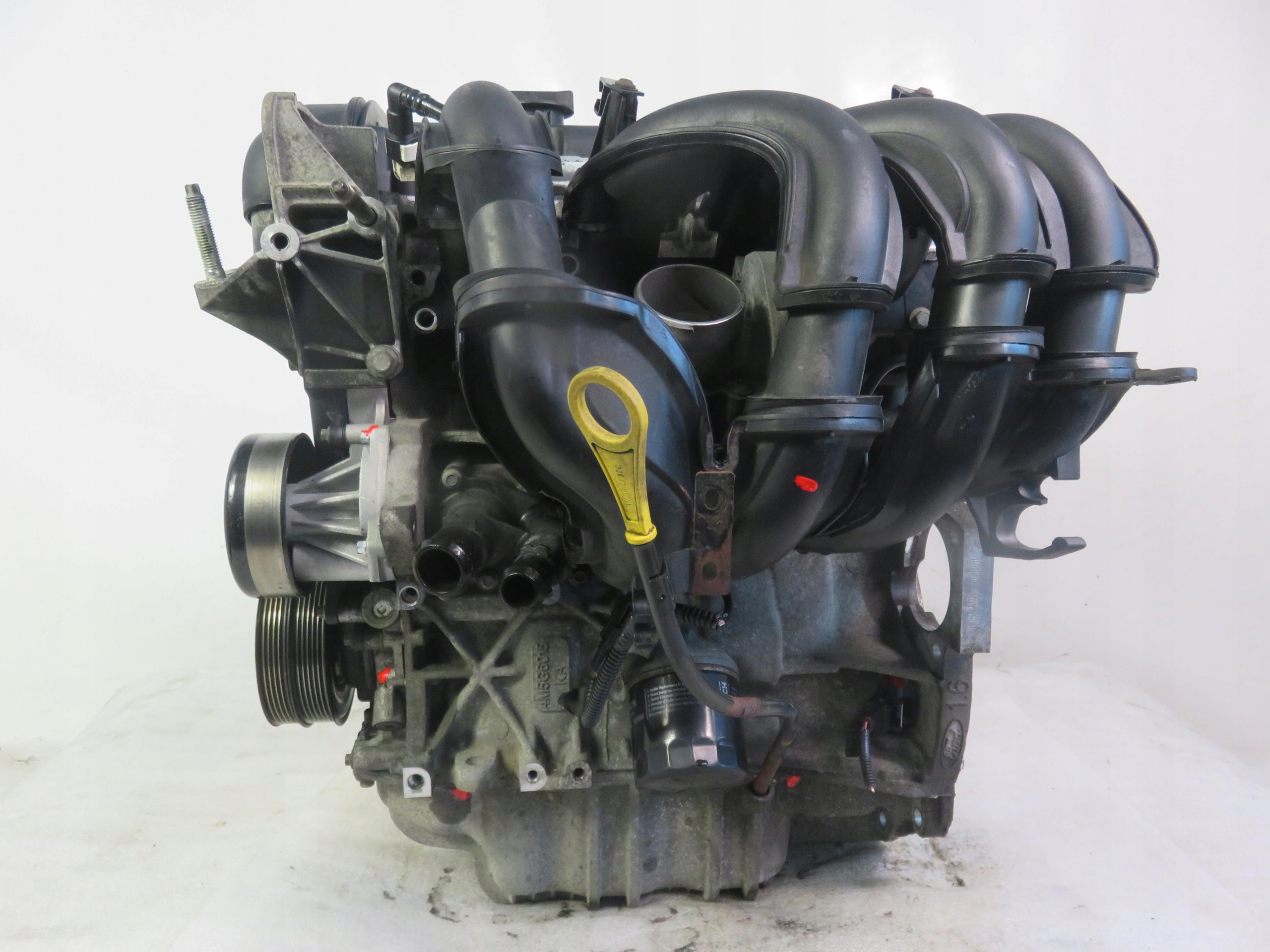 SILNIK FORD FOCUS MK2 II 1.6 16V HWDA za z Mystków 494 - Allegro - (17409335370)