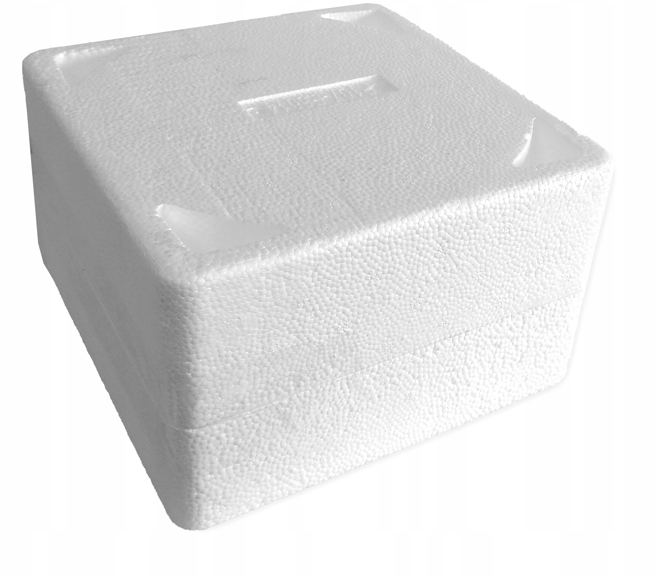 Pudełko styropianowe styrobox termo 22,5x22,5x14cm • Cena, Opinie ...