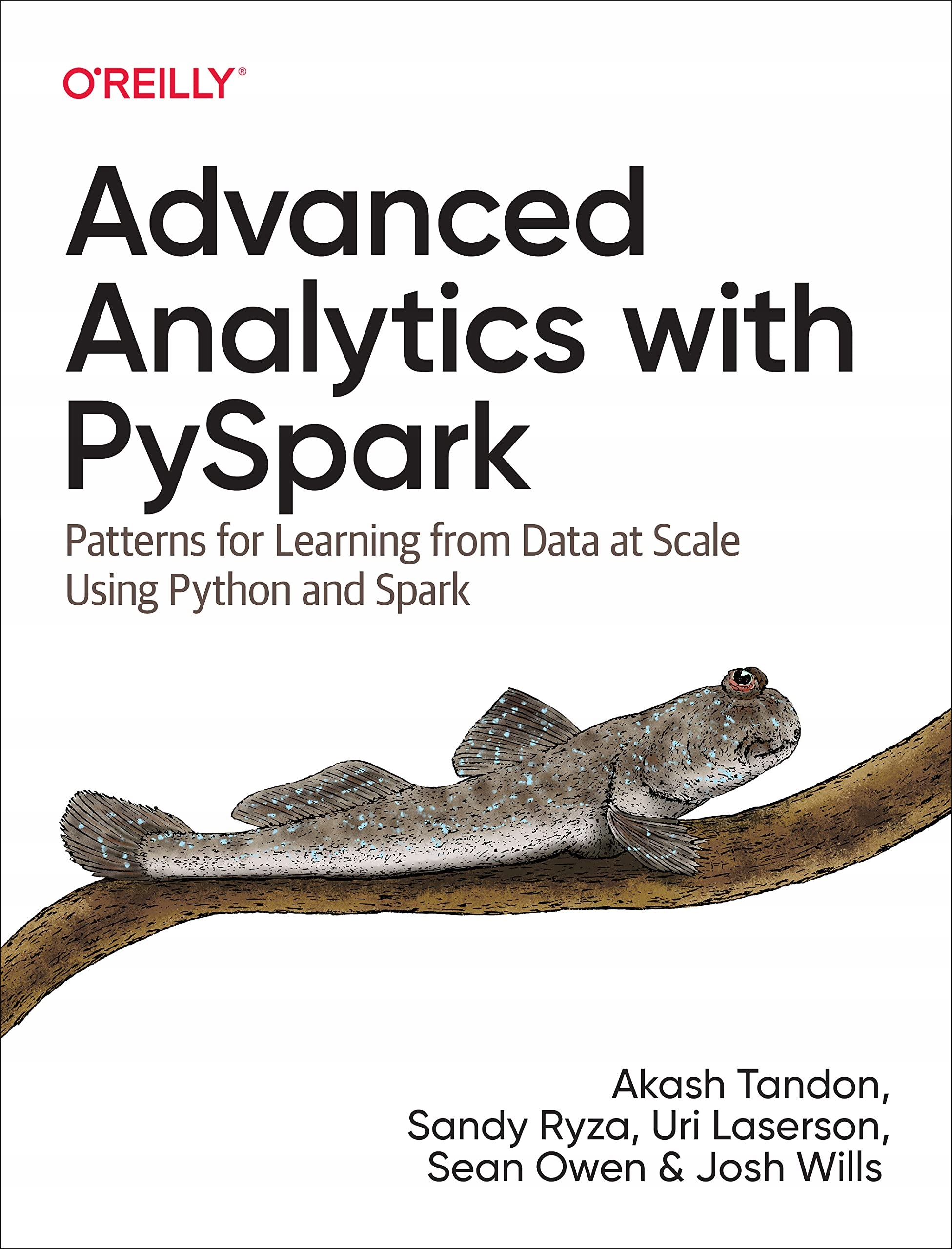 Tandon, Akash Advanced Analytics with PySpark: Patterns for Learning from D (17950417600 ...