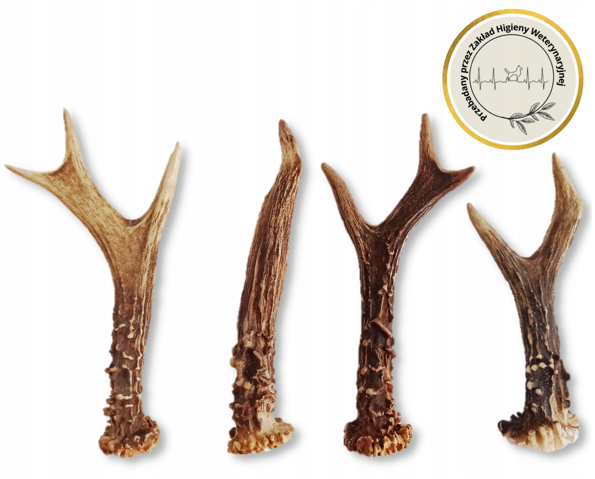 Parostki Poroża - Niska cena na Allegro.pl