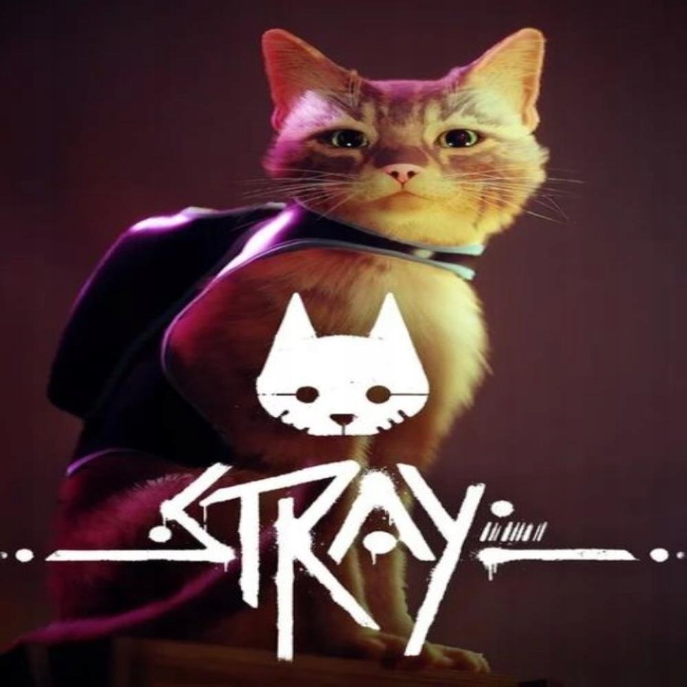 Stray Steam - Niska cena na Allegro.pl