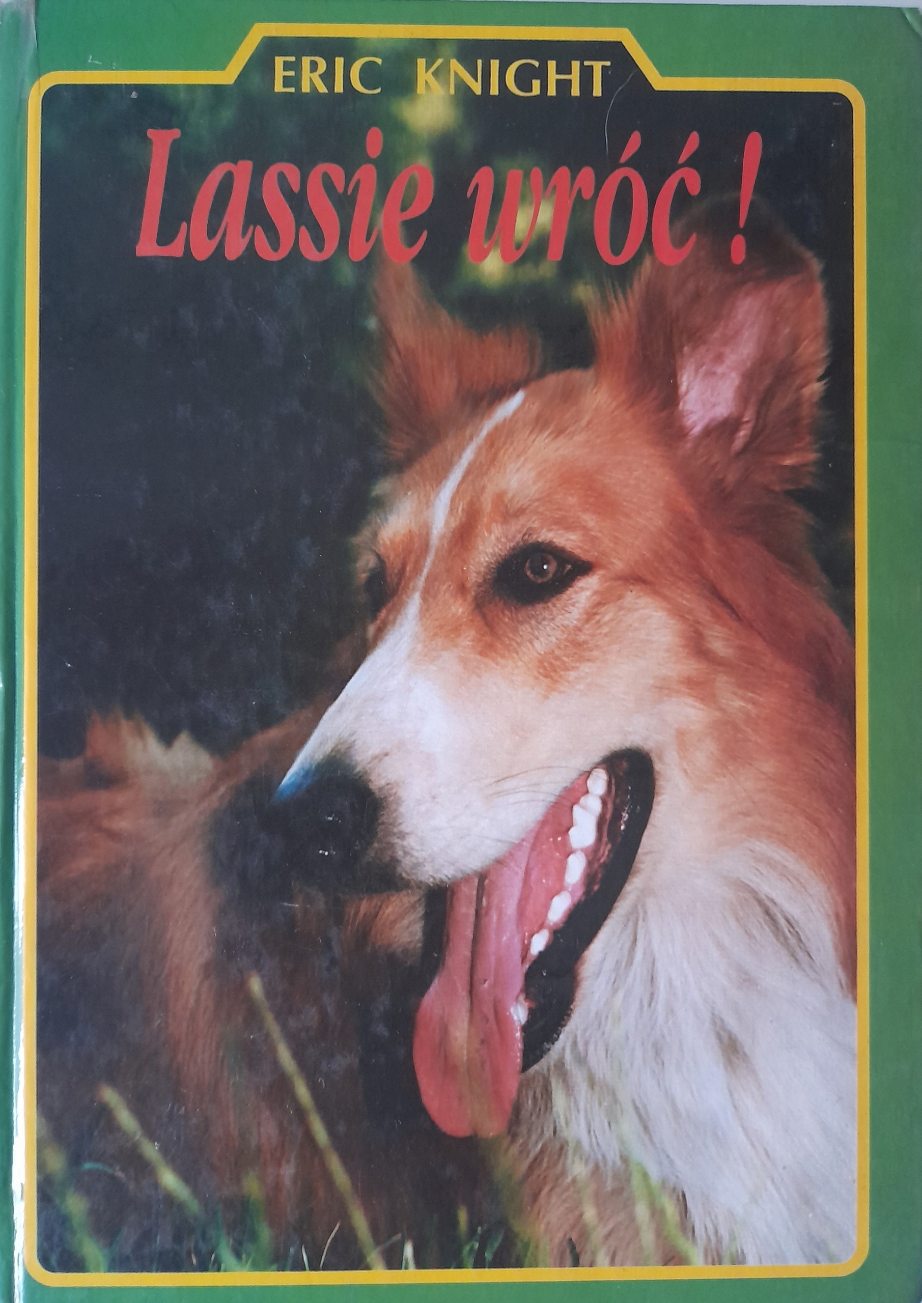 Lessie Wróć - Niska cena na Allegro.pl