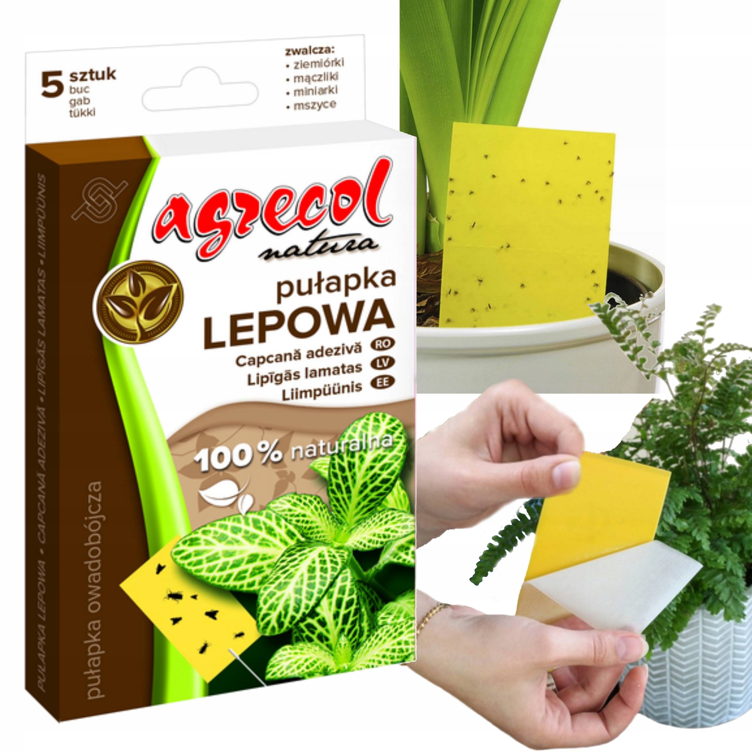 ŻÓŁTY LEP DO DONICZEK NA OWADY ZIEMIÓRKI MSZYCE MĄCZLIKI 5szt AGRECOL ... ŻÓŁTY LEP DO DONICZEK NA OWADY ZIEMIÓRKI MSZYCE MĄCZLIKI 5szt AGRECOL ...