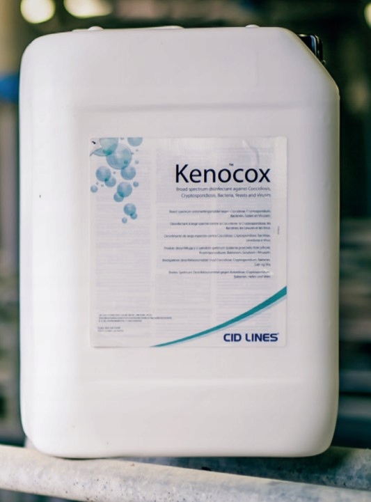 KENOCOX 10KG DEZYNFEKCJA, KOKCYDIOZA 11199600064 - Allegro.pl