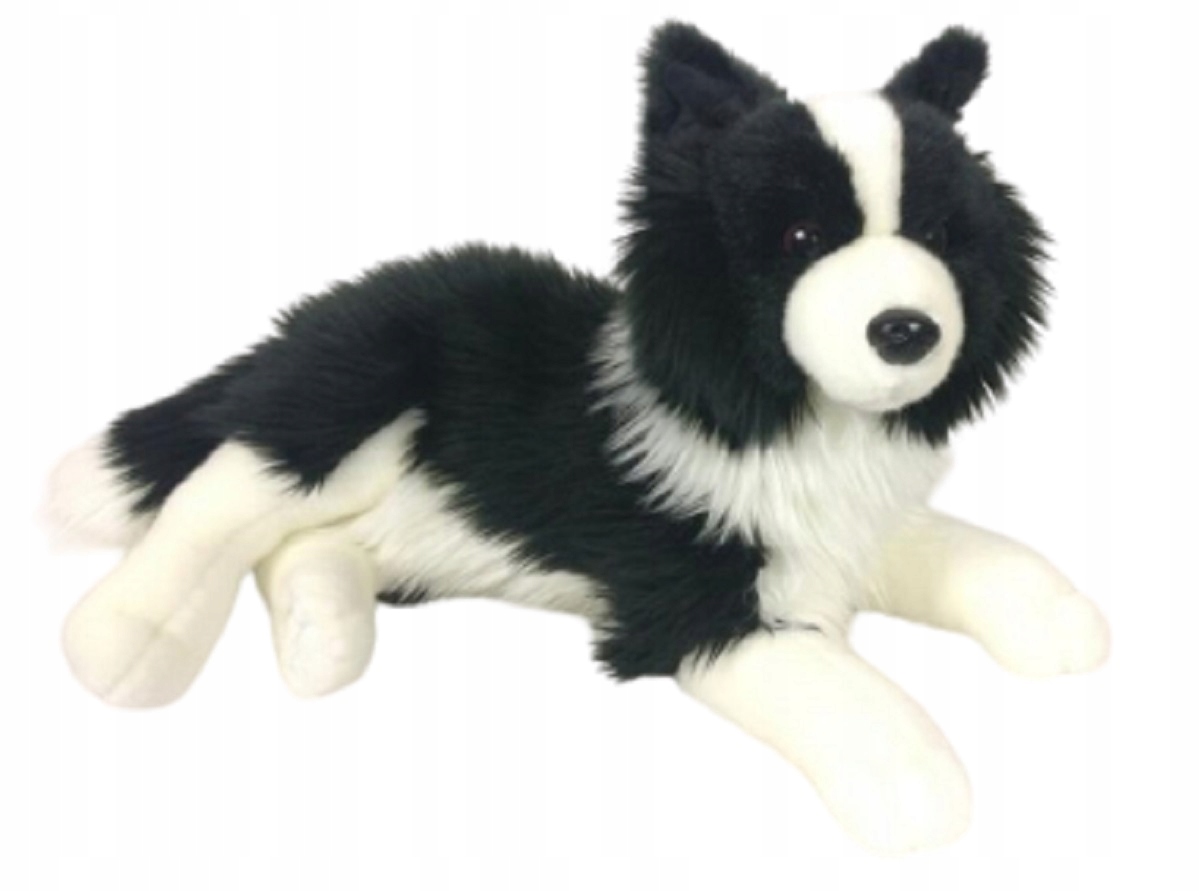 Maskotka Pluszowy Pies Border collie piesek leżący Pluszak ...