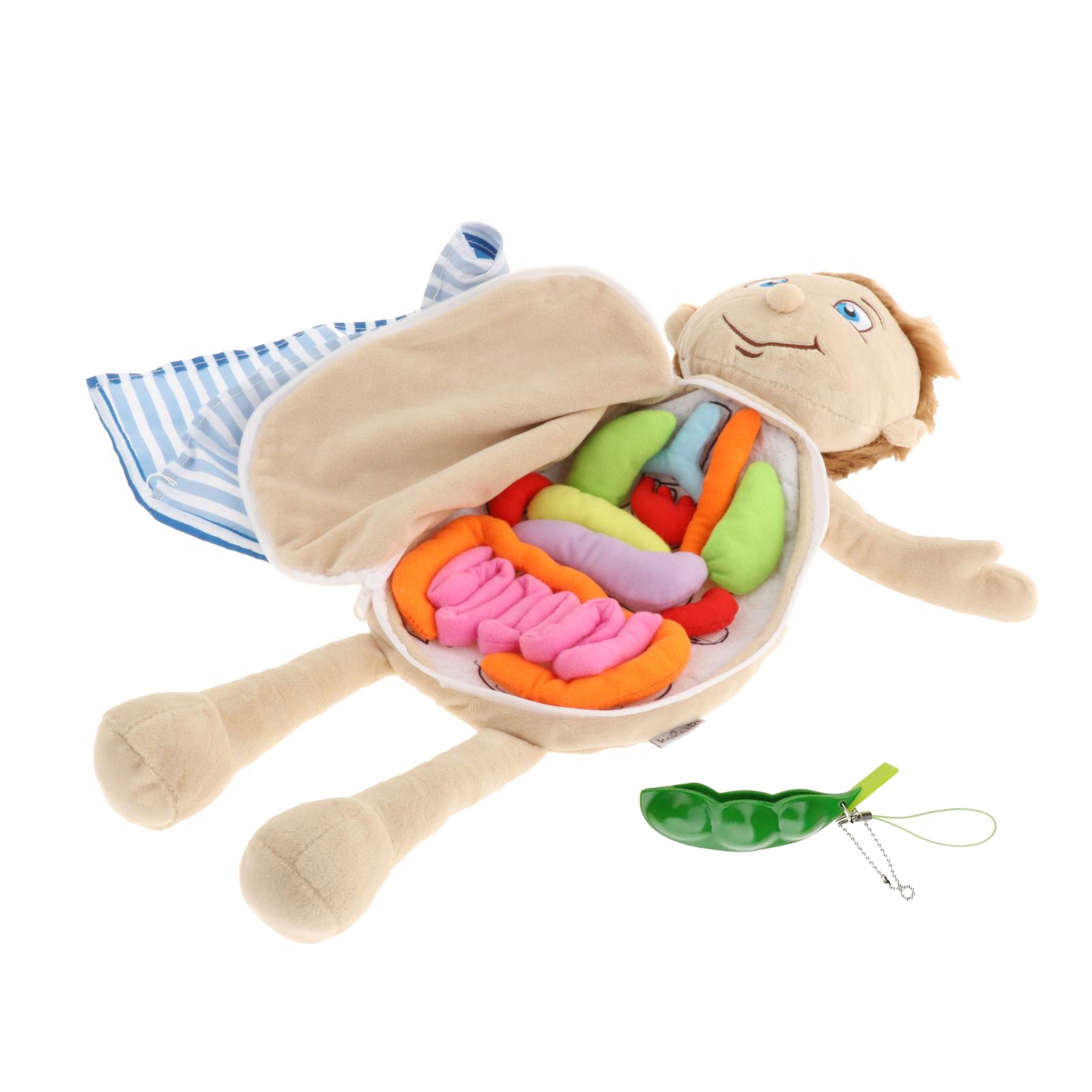 3D Organs Anatomy Model Plush Toy for Kids Soft Doll Classroom Teaching ...