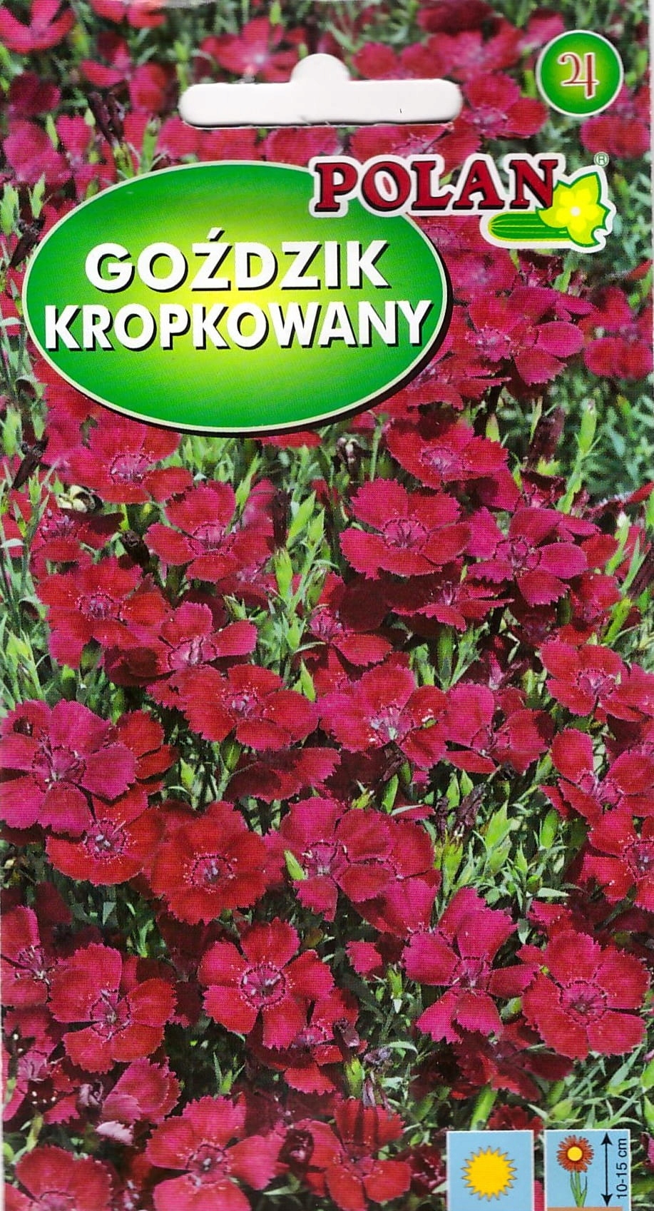 Goździk kropkowany (Pol 1g) - porównaj ceny - Allegro.pl