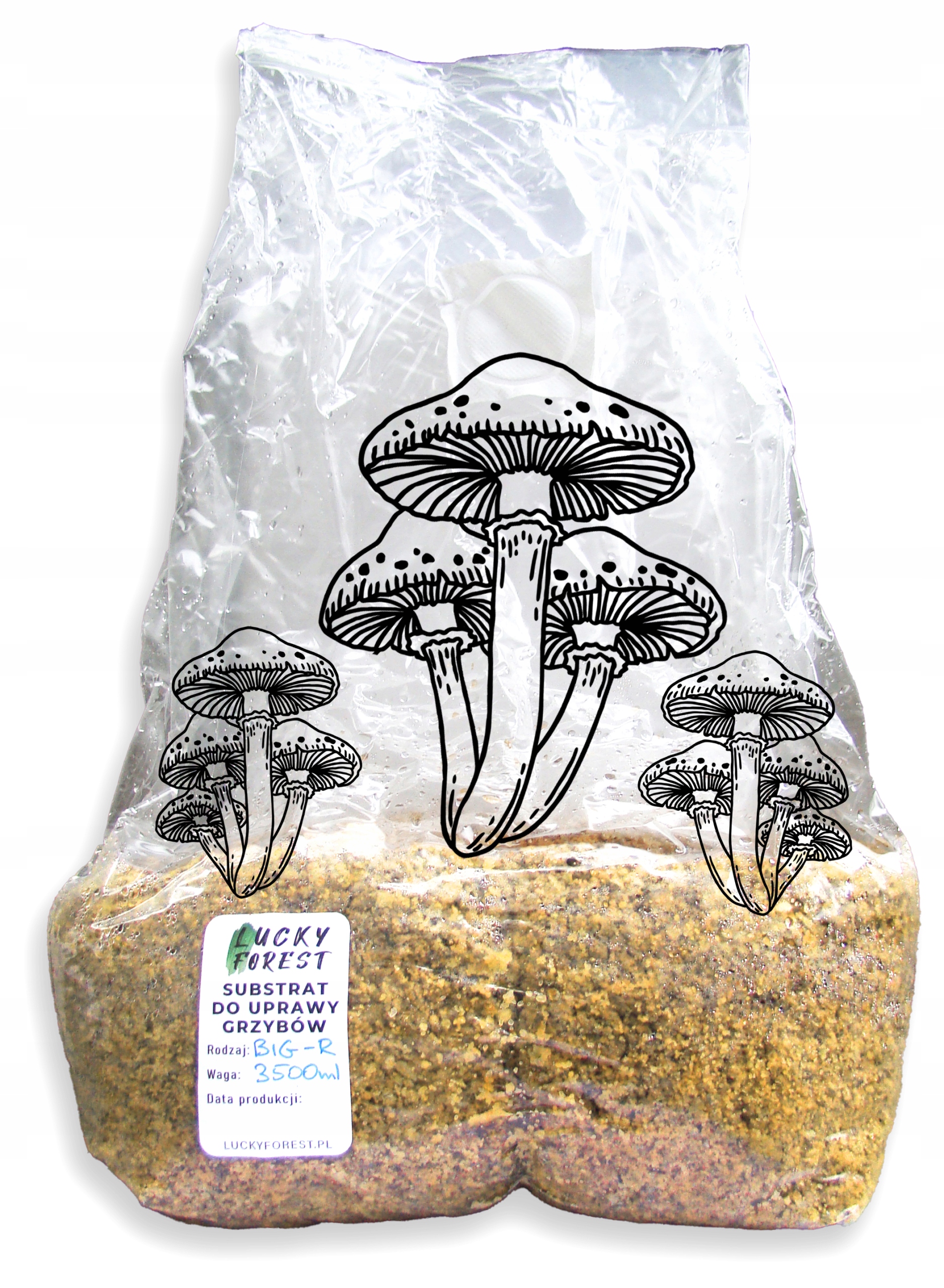 3500 ml Sterilní substrát BRF – RÝŽE a VERMIKULIT – pro houby GrowBox PF Tek za 1035.00CZK - Allegro