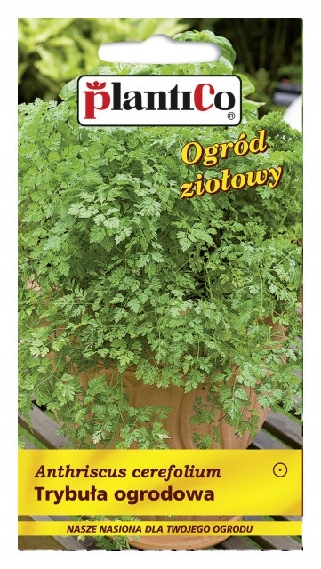 Trybula - Niska cena na Allegro.pl