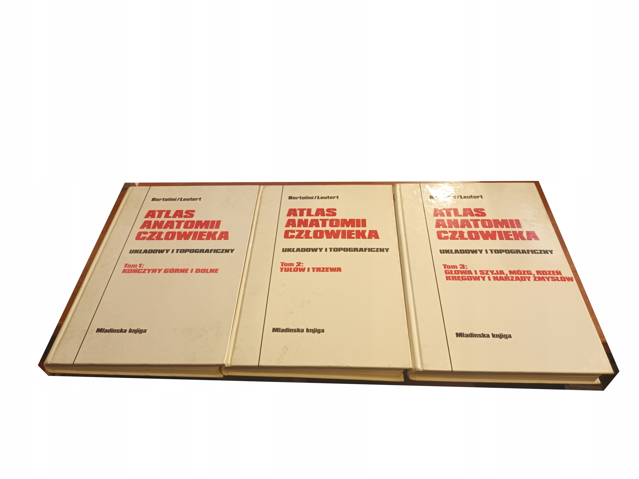 Atlas Anatomii Bertolini - Niska cena na Allegro.pl