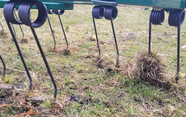 PAZURY ZĘBY SPRĘŻYNY KOLCE NOŻE DO AERATORA AREATORA WERTYKULATORA ...