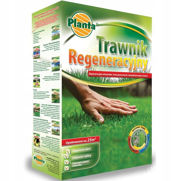 TRAWNIK REGENERACJA 1kg RENOWACJA ODNOWA DOSIEWKA NAPRAWA ODBUDOWA ...
