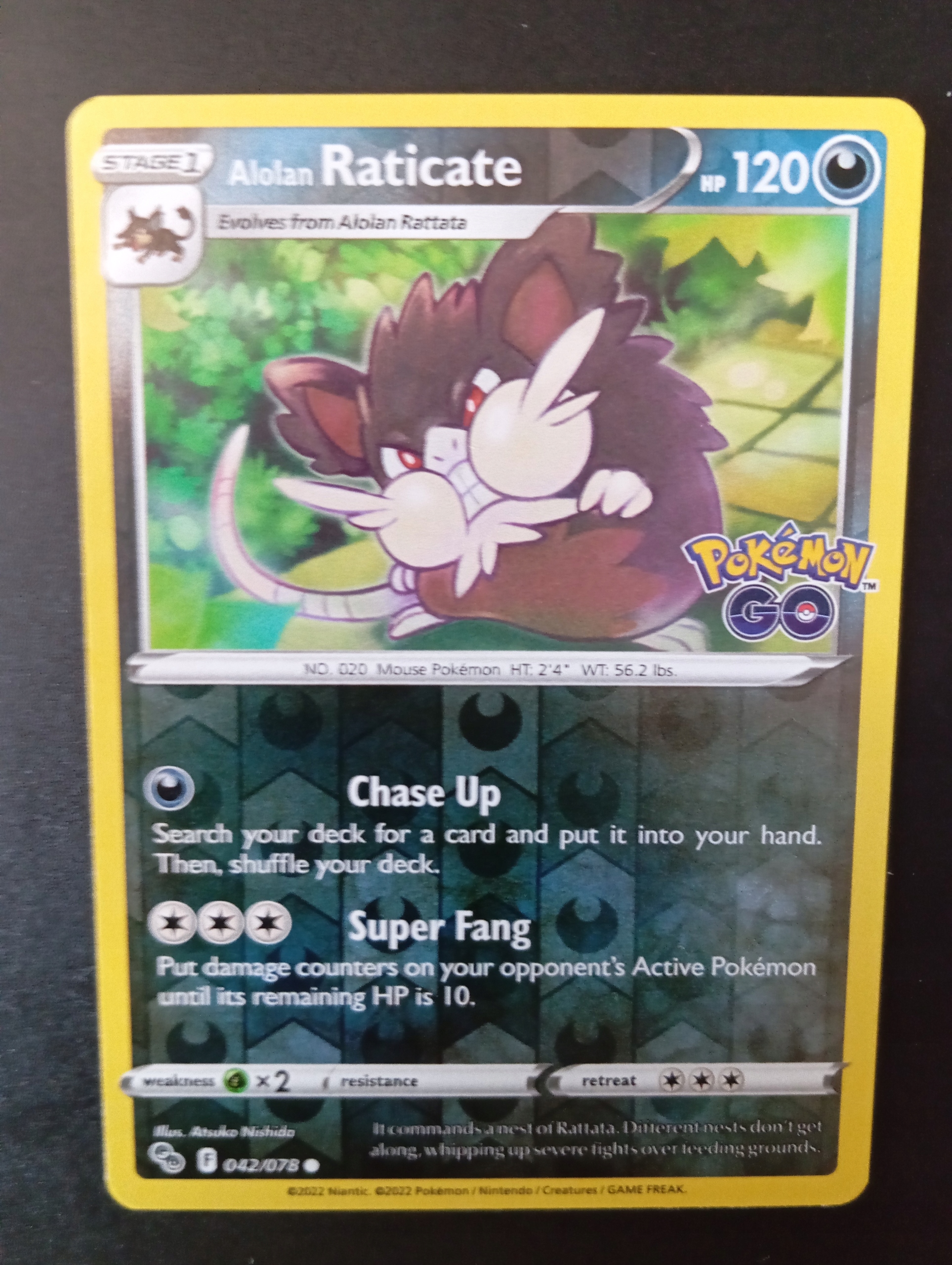 Alolan Raticate R.Holo Pokemon Go 2022 rok 042/078 POKEMON TCG ...
