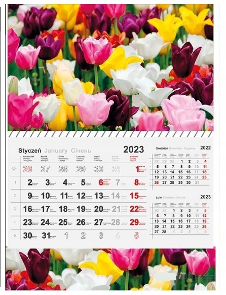 Kalendarz ścienny na ścianę 2023 planszowy • Cena, Opinie - Allegro