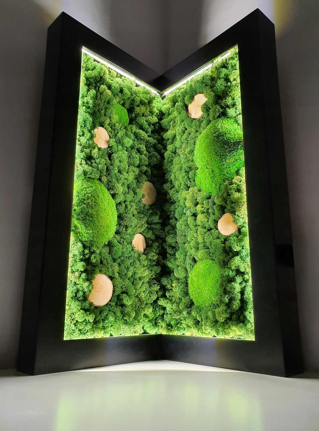 Obraz Narożny Mech Chrobotek Poduszkowy Płaski 1m2 • Cena, Opinie ...