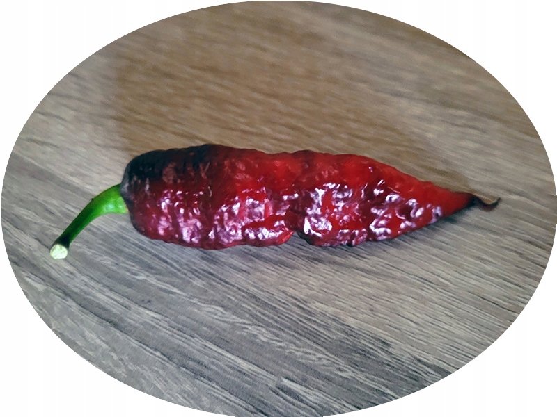 Fox Dark Ghost Gnarly Ruby csípős chili paprika magok a kerti kaspóhoz za 1210.00HUF-ért - Allegro