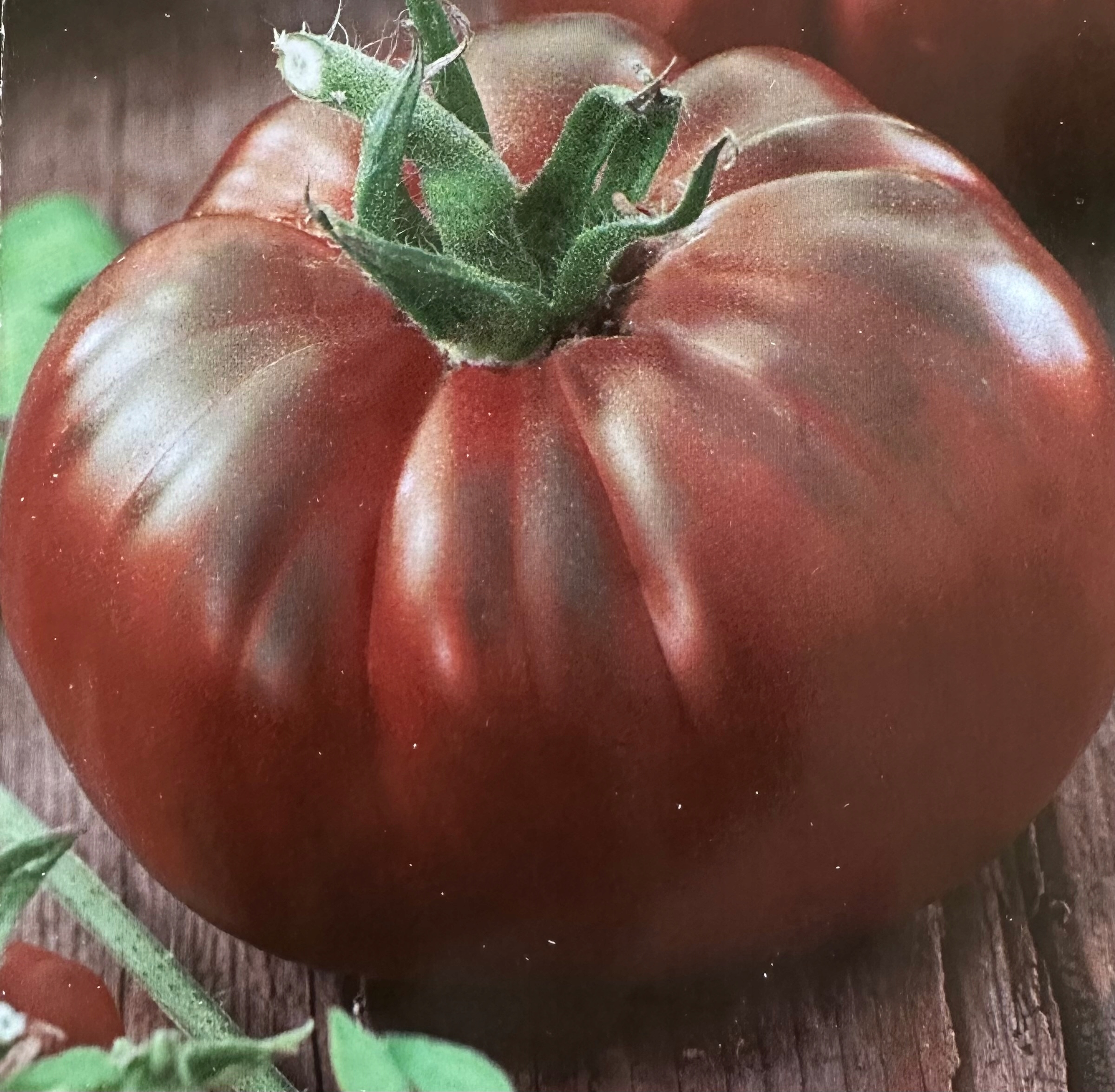 Pomidor BLACK PRINCE 0,2g. - CZARNY KSIĄŻĘ !!! 13099178319 - Allegro.pl